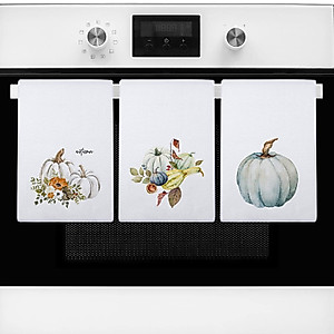 WILLBOND 4 Pieces Farmhouse Fall Kitchen Towels Autumn Kitchen Dish Towels Farmhouse Bath Towels Hand Towels Tea Towels for Fall Kitchen Thanksgiving Gifts, 18 x 28 Inch (Pumpkin)