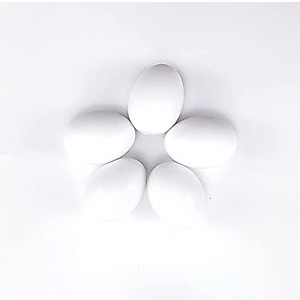10 Pieces of Pigeon Eggs Simulation of Solid Plastic Pigeon Eggs for Pigeon Hatching Help Laying Pigeon Agricultural Tool Poultry