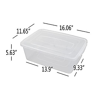 CadineUS 16 Quart Clear Storage Bins, Plastic Tubs with Lids for Storage, 2-Pack