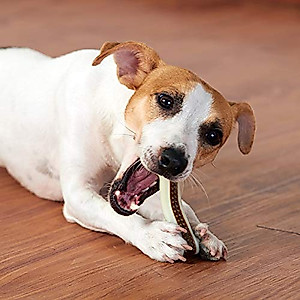 BETTEPROD Dog Chew Toys for Aggressive Chewers Large Breed,2 Pack Beef Flavor Indestructible Dog Teething Chew Toys Bones for Large/Medium/Small Puppies,Pet Toy with Durable Nylon