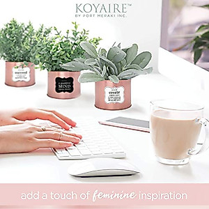 KOYAIRE 3 Motivational Faux Plants for Desk - Rose Gold Decor for Office - Small Home Office Accessories - Desk Decorations - Pink Office Gifts
