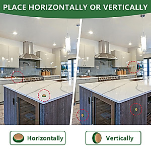 LUOJIBIE Roach Killer Indoor Infestation, Roach Bait, Roach Traps Indoor/Outdoor, Cockroach Repellent, Roach Killer, Quick Catch Roach Control-12PCS