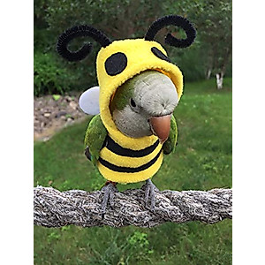 Parrot bird supplies, light flying clothes, warm and comfortable, tiger skin, green cheek parrot, little sun parrot, monk parrot, starling, mynah, Senegal parrot, mini macaw, Keck parrot, etc. (2M)