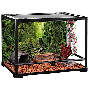 AWERT Tropical Forest Terrarium Background Stream Green Huge Tree Reptile Habitat Background Foggy Rainforest Aquarium Background 30x12 inches Durable Polyester Background