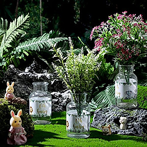 48 Pieces Water Bottle Labels Jungle Animals Themed Party Shower Water Bottle Stickers Wrappers Waterproof Baby Shower Labels for Baby Shower Party Decoration