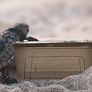 POPETPOP Reptile Breeding Box, Reptile Terrarium, Reptile Container Reptile Cage Lizard Tarantula Habitat Breeding Cage for Spider Scorpion Gecko