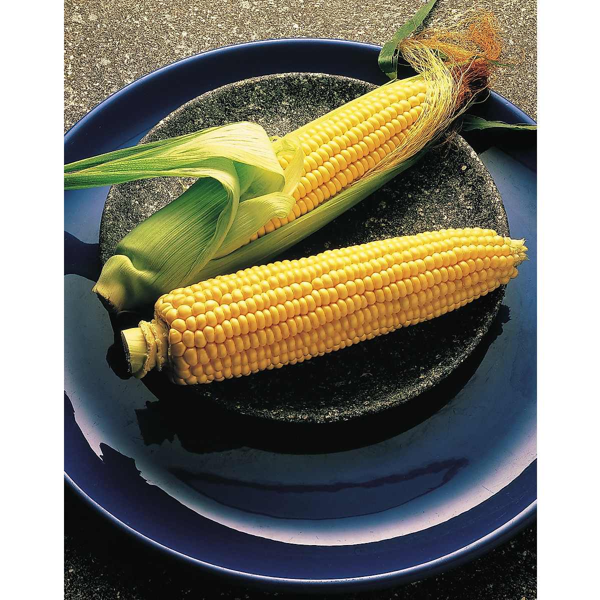 Burpee Illini Xtra Sweet Hybrid (Sh2) Sweet Corn Seeds 800 seeds