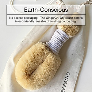 Ginger Chi Dry Brush for Skin, Dry Brushes for Body - Natural Bristle Brush for Dry Brushing Skin (Sisal Dry Brush)