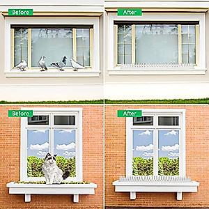 KKUYT Defender Spikes, 12 Pack Plastic Bird Spike, Outdoor Wall Cat Spikes Pigeon Spikes, 17 Feet Security Fence Spikes Anti-Theft Climb Strips for Roof, Railing (Clear-12 PCS)…