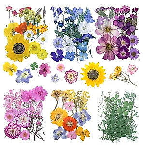 Dried Flowers for Resin, elefis 6 Packs Pressed Flowers and Leaves for Resin, Candle Making, Crafts, Nails, Scrapbooking, Epoxy Jewelry, Soap Making (Colorful A)