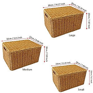 RT&BS Set of 3 Wicker Storage Basket with Lid, Handwoven Storage Basket Box - Organizer for Toys Books Fruits Stationery