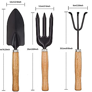 Mini Garden Tools Set of 3, Succulent Plants Tools Wood Handle Rake, Fork and Shovel, Garden Hand Transplanting Gardening Tools Set for Seedlings, Bonsai, Succulents, Herbs, Terrariums and Planting