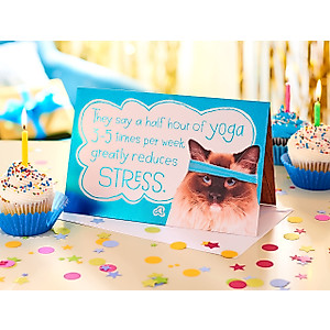 American Greetings Funny Birthday Card for Her (So Does Ice Cream)