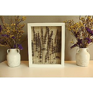 ACTIVA Art Silica Gel, 4 pounds Flower Drying Compound, White