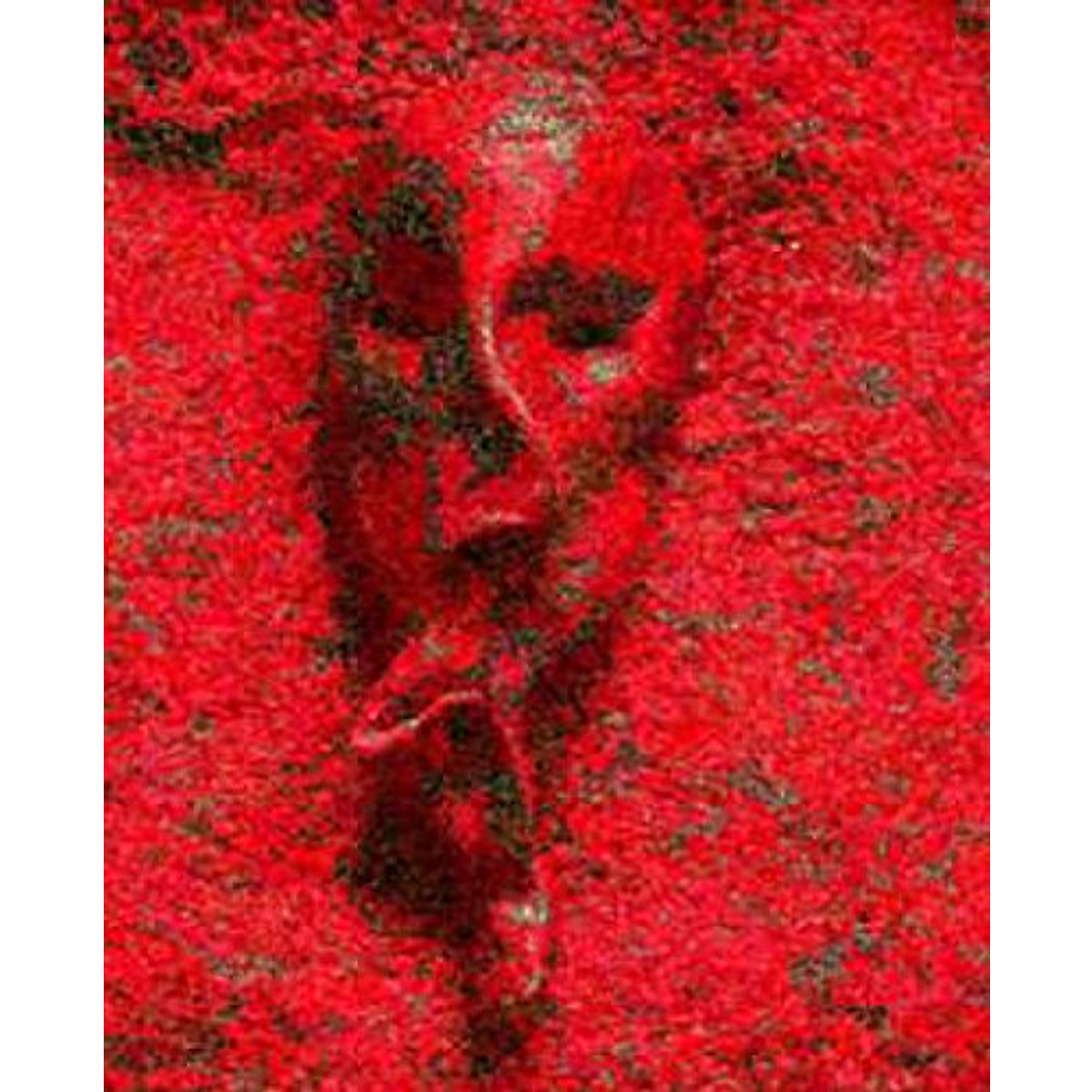 Abstract Color Unititled