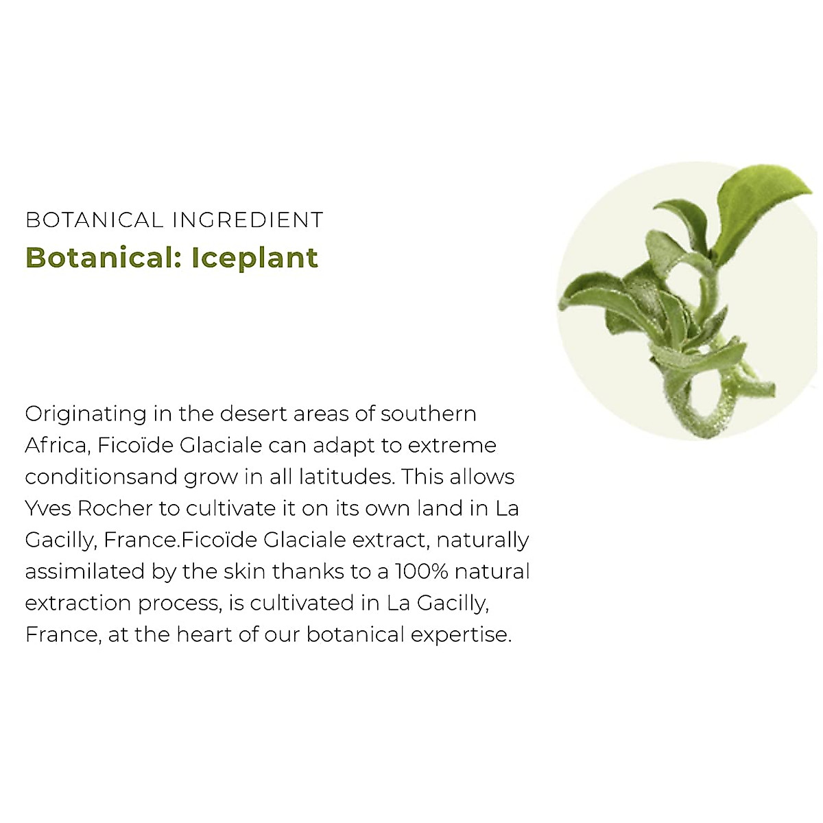 Yves Rocher S?rum V?g?tal Wrinkles & Firmness Plumping Day Care Face Moisturizer ? 1.7 Oz ? 1 Ct