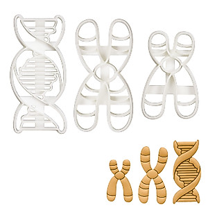 Set of 3 DNA themed cookie cutters (Designs: DNA, Chromosome and Chromosome Y), 3 pieces - Bakerlogy