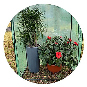 MAHFEI Greenhouse, Walk-in Garden Plastic Insulation Shed 2/3/4/5 Layer Insulation Shed Antifreeze Bracket Waterproof and Easy to Clean for Balconies, Gardens (Color : Green, Size : 69x49x126cm)