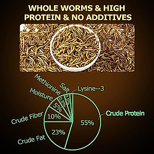 RANZ 10LBS Non-GMO Dried Mealworms for Chickens, High Protein Meal Worms, Whole Large Mealworms for Wild Birds, Ducks, Hedgehogs, Reptiles. Premium Chicken Feed, Perfect Bird Food and Chicken Treats