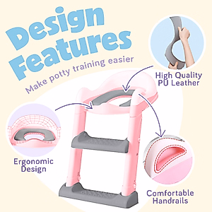 Ashtonbee Mountable Potty Seat (with steps, Pink)