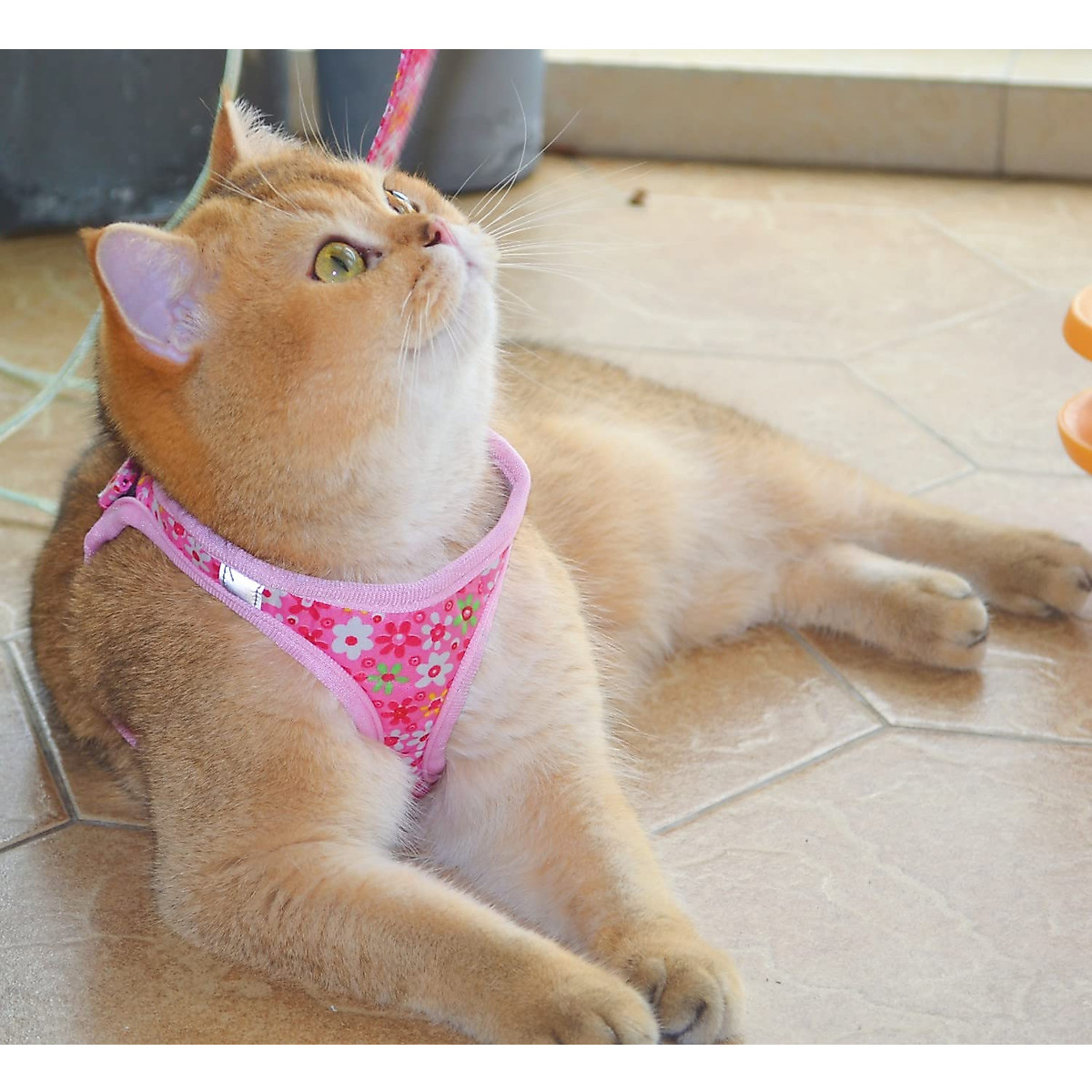 Moonpet Step in Air Dog Harness Leash Set- All Weather Reflective No-Pull Floral Pattern Padded Mesh Vest Harness for Cats Puppy Extra-Small Small Medium Large Dogs - Pink Flower - XXS