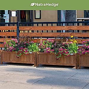 NatraHedge 15" Hampton Classic Wooden Planter Box Indoor and Outdoor Use for Patio Garden (44" x 15" x 15")