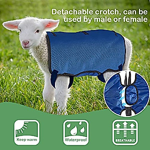 2 Pcs Goat Coat for Winter Goat Blanket Cold Weather Waterproof Windproof Goat Jacket Blanket to Keep Goat Warm Lamb Coat with Straps Thickened Belly Protection, Blue