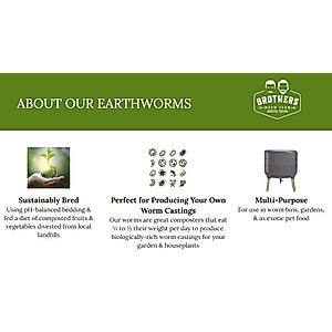 Brothers Worm Farm 1/2 Lb European Nightcrawlers Live Worms for Fishing & Composting (~150 Count). Larger Than Red Wigglers and Great Worms for Fishing, Composting, & Gardens