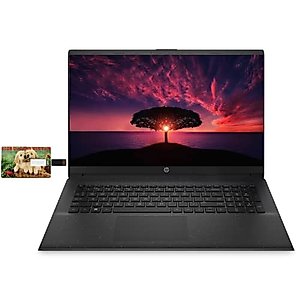 HP 17 Business Laptop Computer, 17.3" HD Anti-Glare Screen, AMD Athlon Gold 3150U Processor, Windows 10 Pro, 12GB RAM, 256GB SSD, WiFi, Long Battery Life, Jet Black, 32GB Durlyfish USB Card