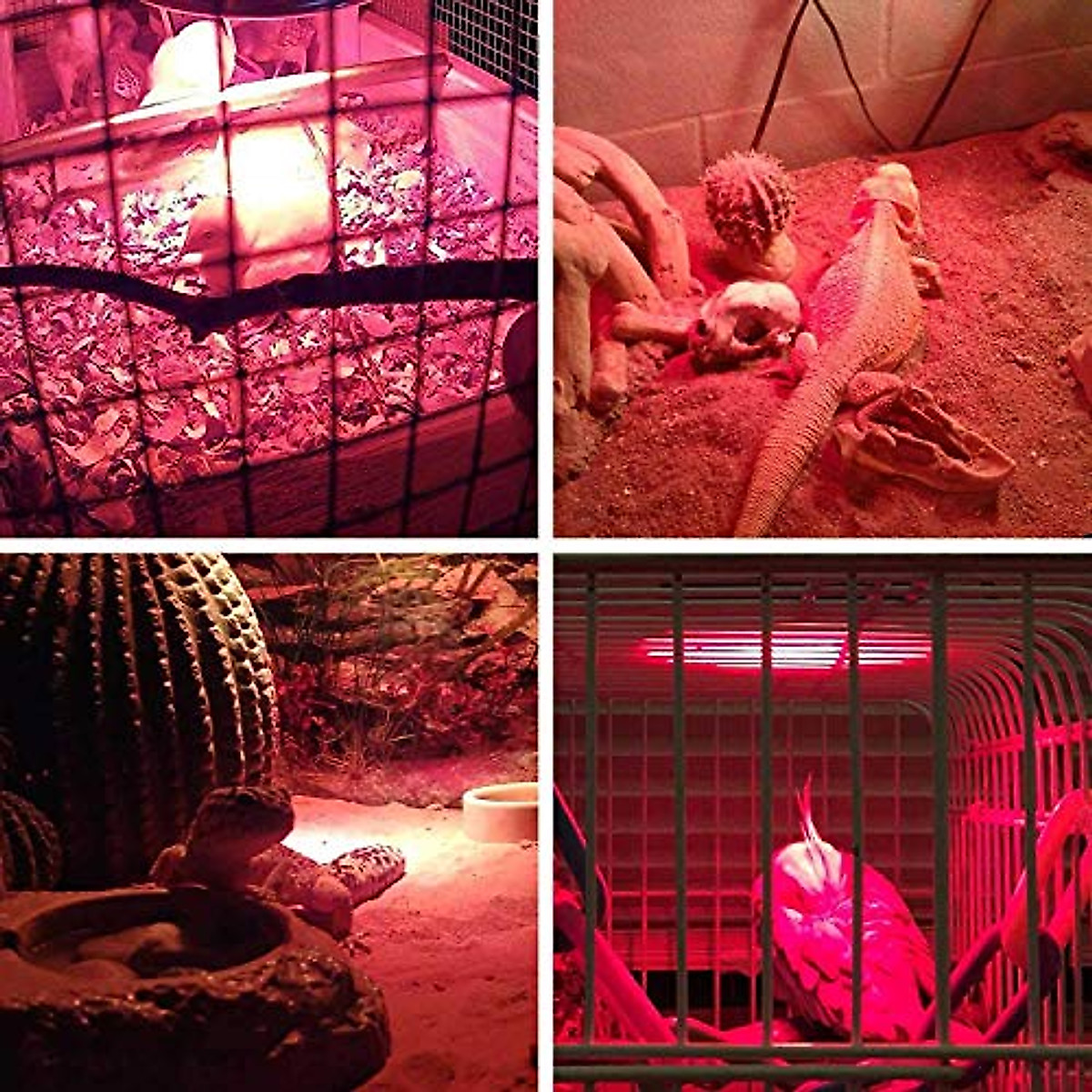 OMAYKEY 75W 2 Pack Infrared Heat Lamp Bulb Red Light Glass Heating Lamps Bulbs for Lizard Snake Bearded Dragon Chameleon Aquarium Reptiles & Amphibians