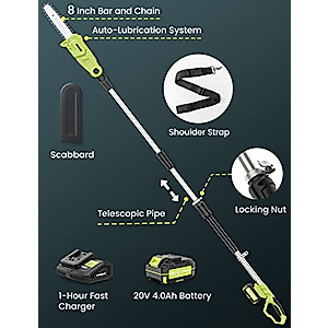 VANQUE 20V Cordless Pole Saw, 15-Foot MAX Reach Pole Saws for Tree Trimming, Battery Pole Saw for Branch Cutting, Trimming, Pruning, Adjustable Head & 8-Inch Bar and Chain, 4.0Ah Li-ion Battery