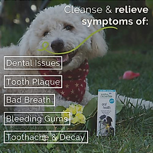 Siddha Remedies Oral Health for Pets | Cat Dog Oral Care for Toothache Decay | Breath Spray for Bad Breath, Healthy Gums Dogs Tooth Care | 100% Natural Homeopathic Remedy Cell Salts Flower Essences