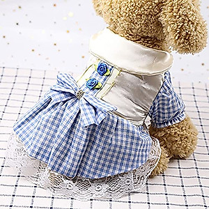 Dog Retro Lattice Skirt Princess Dress Dog Puppy Cute MultiLayers Wedding Party Dress Retro Skirt Luxury Lace Bow Flower Dress Bride Costume Petti Dress for Small Dog Cat Puppy Pet Apparel (Blue, XXL)