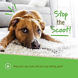 Pet Naturals Scoot Bars, 30 Chews - Natural Anal Gland Support for Dogs, Gentle on Digestive System