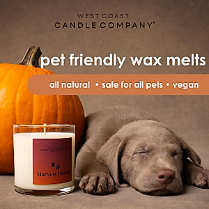 Pet Friendly Wax Melts | Pet Safe Wax Melts | All Natural Dog Safe Wax Melts | Non-Toxic Wax Melts | Pet Odor Eliminator | Pure Soy Wax Melts | Veterinarian Approved (Pumpkin Pecan Waffles)
