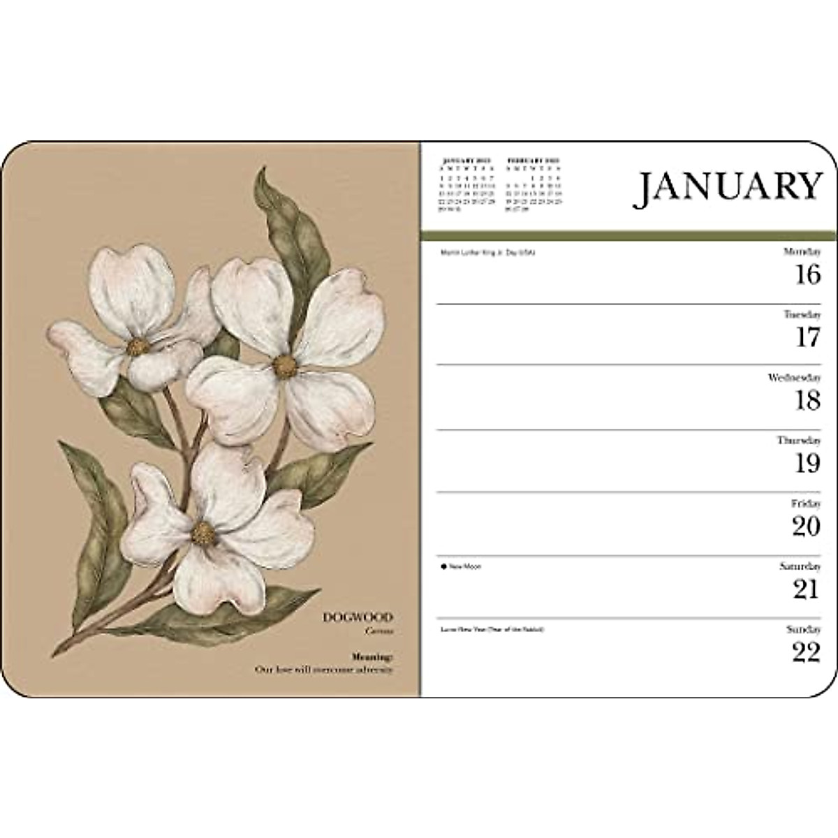 Floriography 12-Month 2023 Monthly/Weekly Planner Calendar: Secret Meaning of Flowers