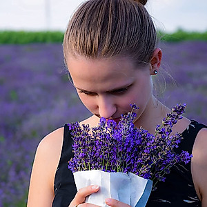 Hair Bun Maker,Donut Bun Maker Ring Style Hair bun maker set with 18 Bobby Pins &10 Elastic hair tie bands&8 Bun For Chignon Hair Styles (2 Small 2 Medium 2 Large 2 Extra-large) (Blonde)