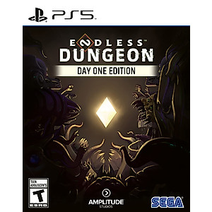 The Endless Dungeon: Launch Edition - PlayStation 5