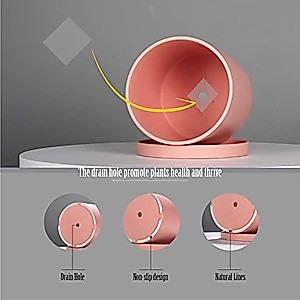 EtooCafe Planters for Indoor Plants Ceramic Flower Succulent Plant Pots with Drain Hole Saucer Decor for Home Office (6 inch Pink)