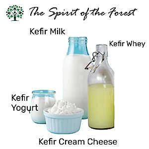 Kefir, Kefir Grains, Scoby, Milk Kefir Grains, Live Starter, Cultures, Bulgaros de Leche, Bulgarian Milk Kefir Grains, Kefir Strainer, Works w/Whole Milk, Coconut Milk, Almond Milk, Oat Milk