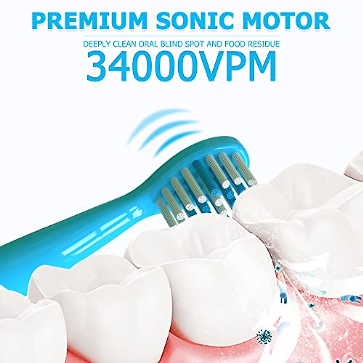CHAIN PEAK Dinosaur Toothbrush, Kids Sonic Electric Toothbrush for Children, Toddlers Boys Girls Age 3-12 with 30s Reminder, 2 Mins Timer, 5 Modes, 8 Brush Heads