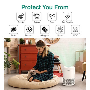 HEPA Filter Air Purifier, Air Purifiers for Home, Bedroom, Office, Pets, H13 Grade (touch control)