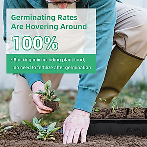 Soil Blocker with Comfortable Handle, 4 Cell Soil Block Maker 2 Inch Mold Blocking Tool for Seed Starting Germination, Grow Seedling No Transplant Shock