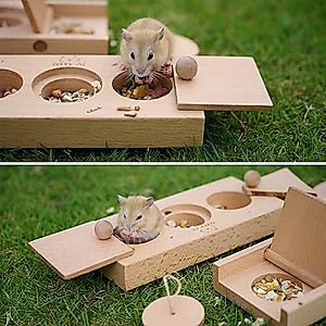 Boomcat Enrichment Foraging Toys,Puzzle Toys for Small Animals,Small pet Interactive Mental,Hide Treats Puzzle Game Hamster,Rabbit,Bunny,Rat,Guinea Pig,Chinchilla,Consume Energy and Relieve Boredom