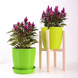 Professional Perlite | Large 2.2 Quarts | Medium Grade for Container and Garden Plants | pH Neutral Lightweight Soil Additive | Made in USA