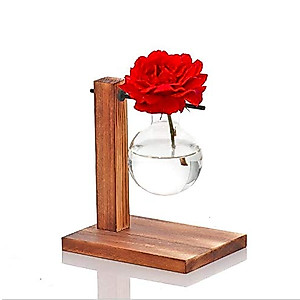 Kingbuy Hydroponic Glass Vase Vintage Desktop Plant Terrarium Planter Bulb Vase Water Planting Propagation Vase Planters Hydroponics Plants with Retro Wooden Stand Home Garden.