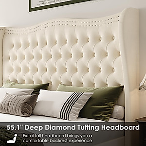 HOSTACK King Bed Frame, 55" Headboard Upholstered Bed with Tall Footbaord, Velvet Handmade Pleats Deep Button Tufted Wingback Platform Bed, No Box Spring Required/Wood Slat Support/Beige