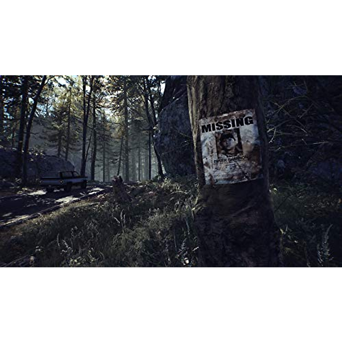 【2020年夏発売予定】ブレア・ウィッチ 日本語版 初回限定版