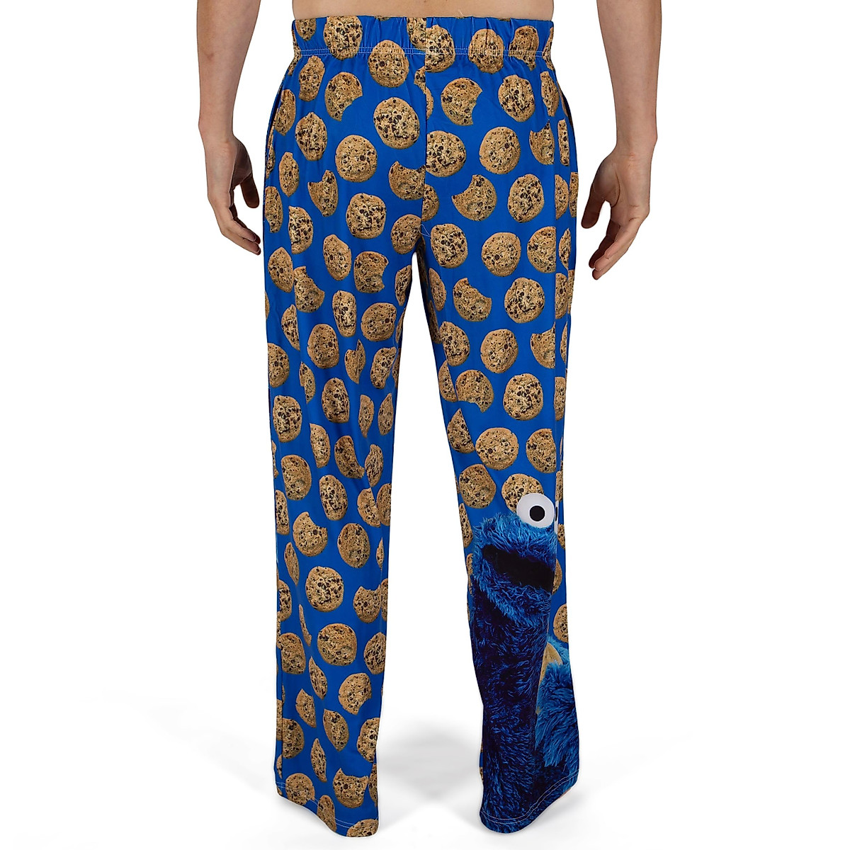BRIEF INSANITY Sesame Street Adult Lounge Pajama Pants - Comfy, Loose-Fit, Ultra-Soft - Cookie Monster Sleep Bottoms (Large, Cookie Monster)