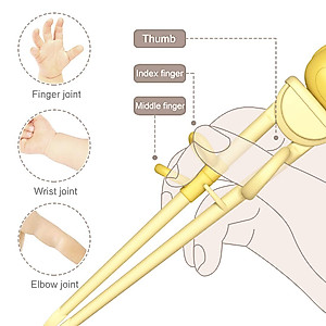 Training Chopsticks Set for Kids and Beginners,Chopstick Spoon Fork and Case Set,Reusable Learning Chopsticks with Attachable Learning Chopstick Helper - Right Handed Only Stainless Steel Yellow